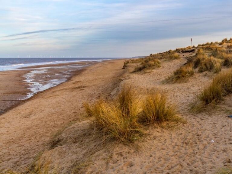 The Ultimate Local’s Guide to Norfolk England | Written by a Local