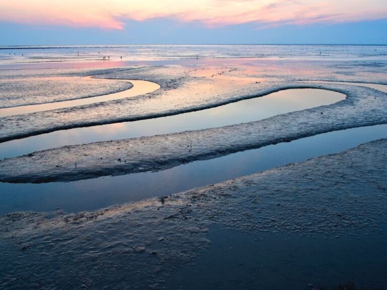 Norfolk Beaches - Ultimate A-Z Guide | Written by a Local