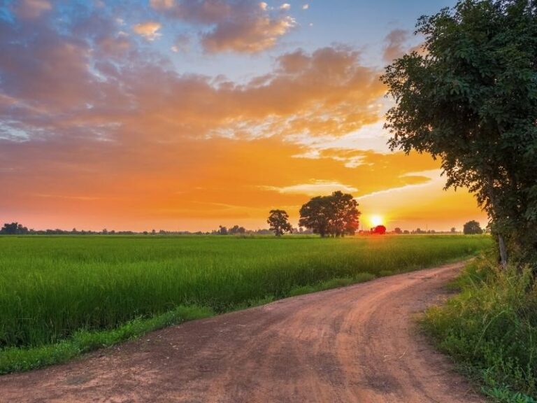 43 Norfolk Farm Shops for Amazing Local Produce! | Written by a Local