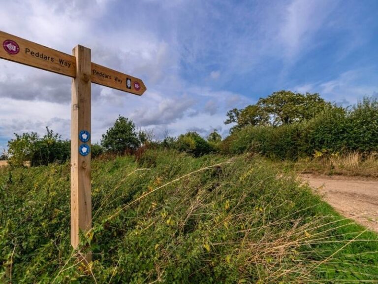 Walks in Norfolk - 14 of the Best Trails | Written by a Local