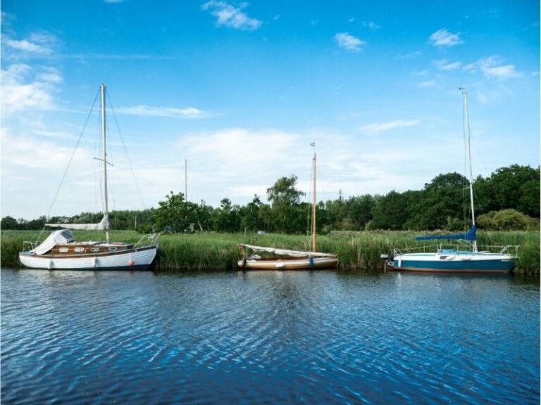 22 Fantastic Things to Do in Wroxham | Written by a Local