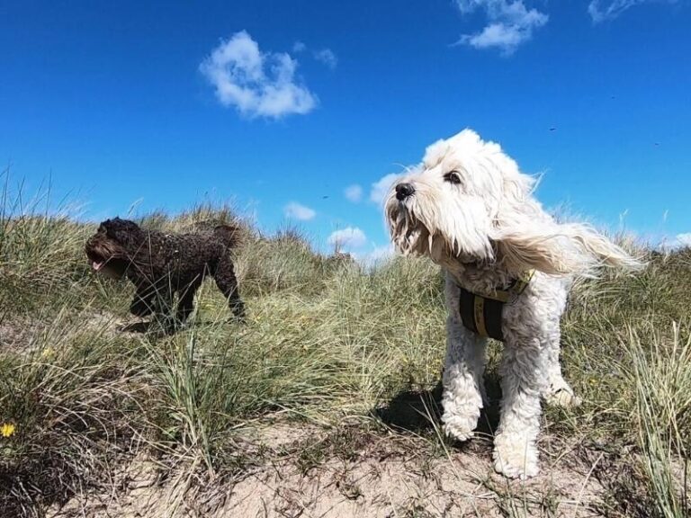 Winterton on Sea - All You Need to Know Before You Go | Written by a Local