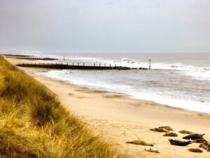 Holkham Beach England: North Norfolk’s Finest Beach | Written by a Local