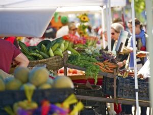The Best Norfolk Farmers Markets You Won’t Want to Miss! | Written by a ...