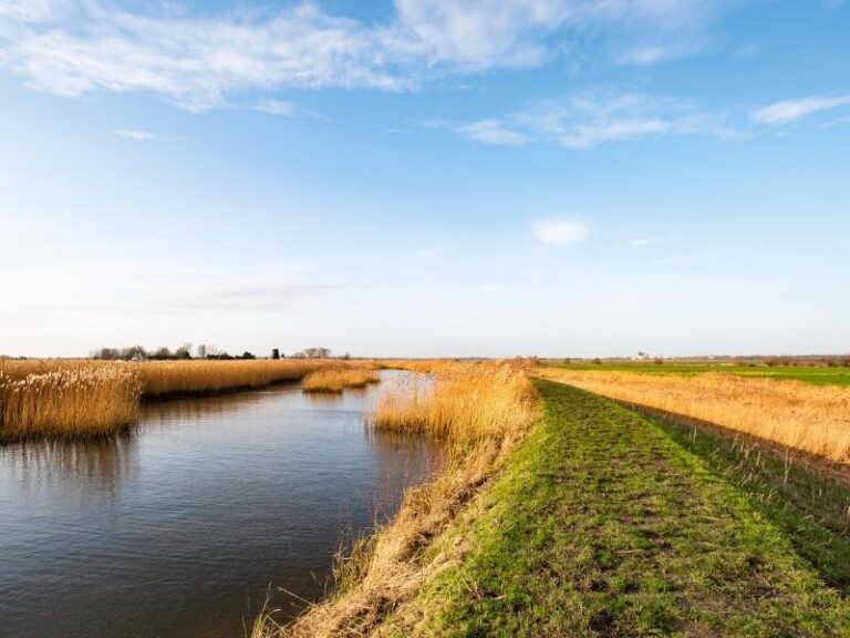 Norfolk Nature Reserves - Ultimate A-Z Guide | Written by a Local