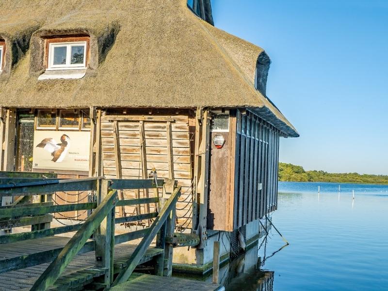 Norfolk Nature Reserves - Ultimate A-Z Guide | Written by a Local