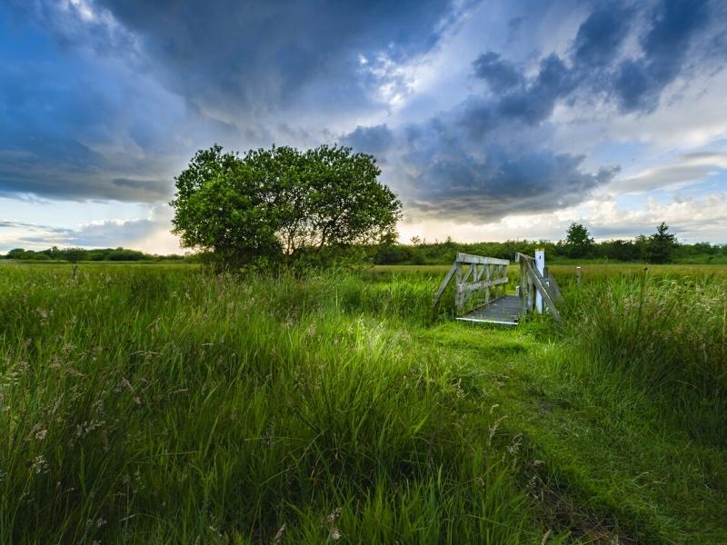 Norfolk Nature Reserves - Ultimate A-Z Guide | Written by a Local