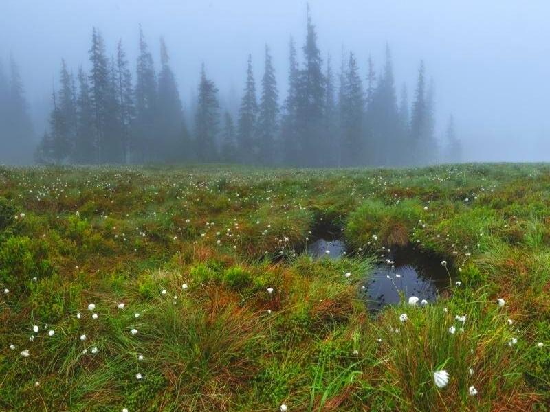 Norfolk Nature Reserves - Ultimate A-Z Guide | Written by a Local