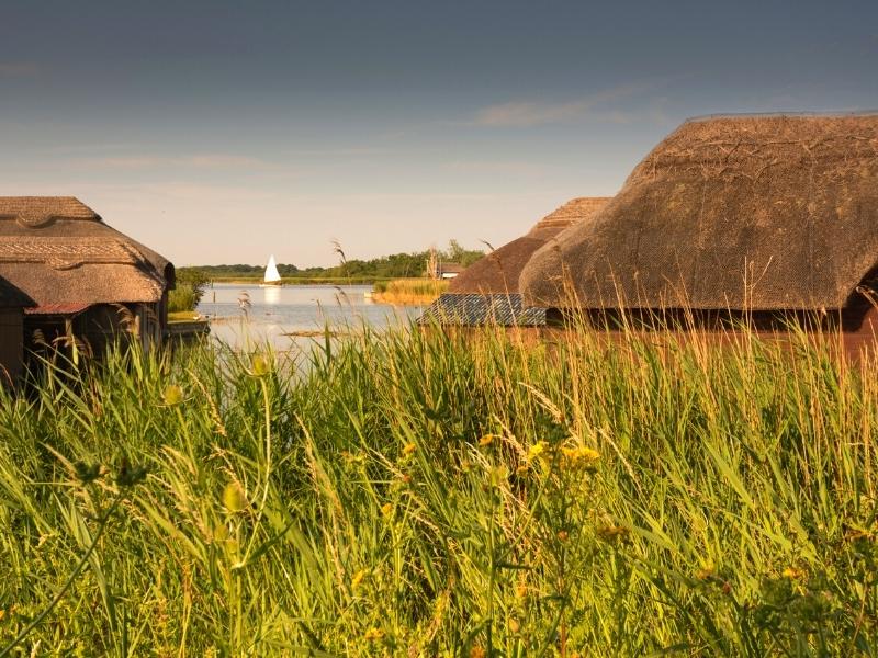 Norfolk Nature Reserves - Ultimate A-Z Guide | Written by a Local