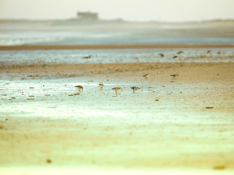 Brancaster Beach - Complete Visitor Guide | Written by a Local