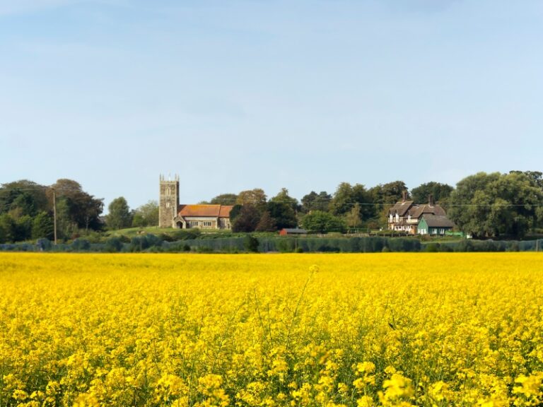 Where Is Norfolk? Finding the Best of the County | Written by a Local