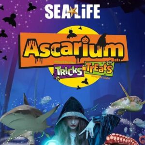 Halloween in Norfolk: 34 of the Best Spooky Events in 2024 | Written by ...